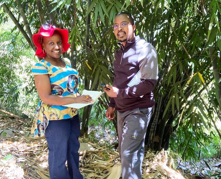 Ghala Delights – Sustainable life
